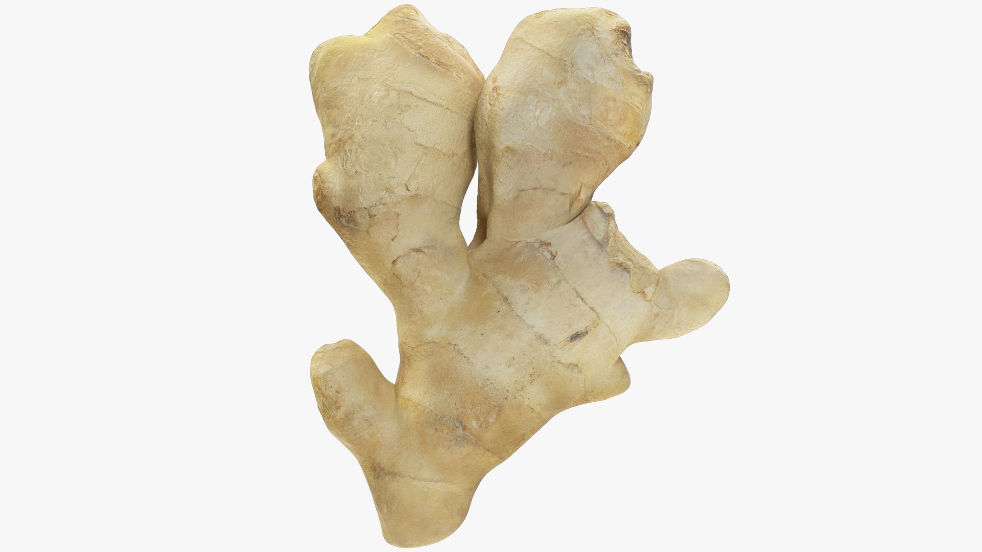 Ginger V2 3D - TurboSquid 2190417