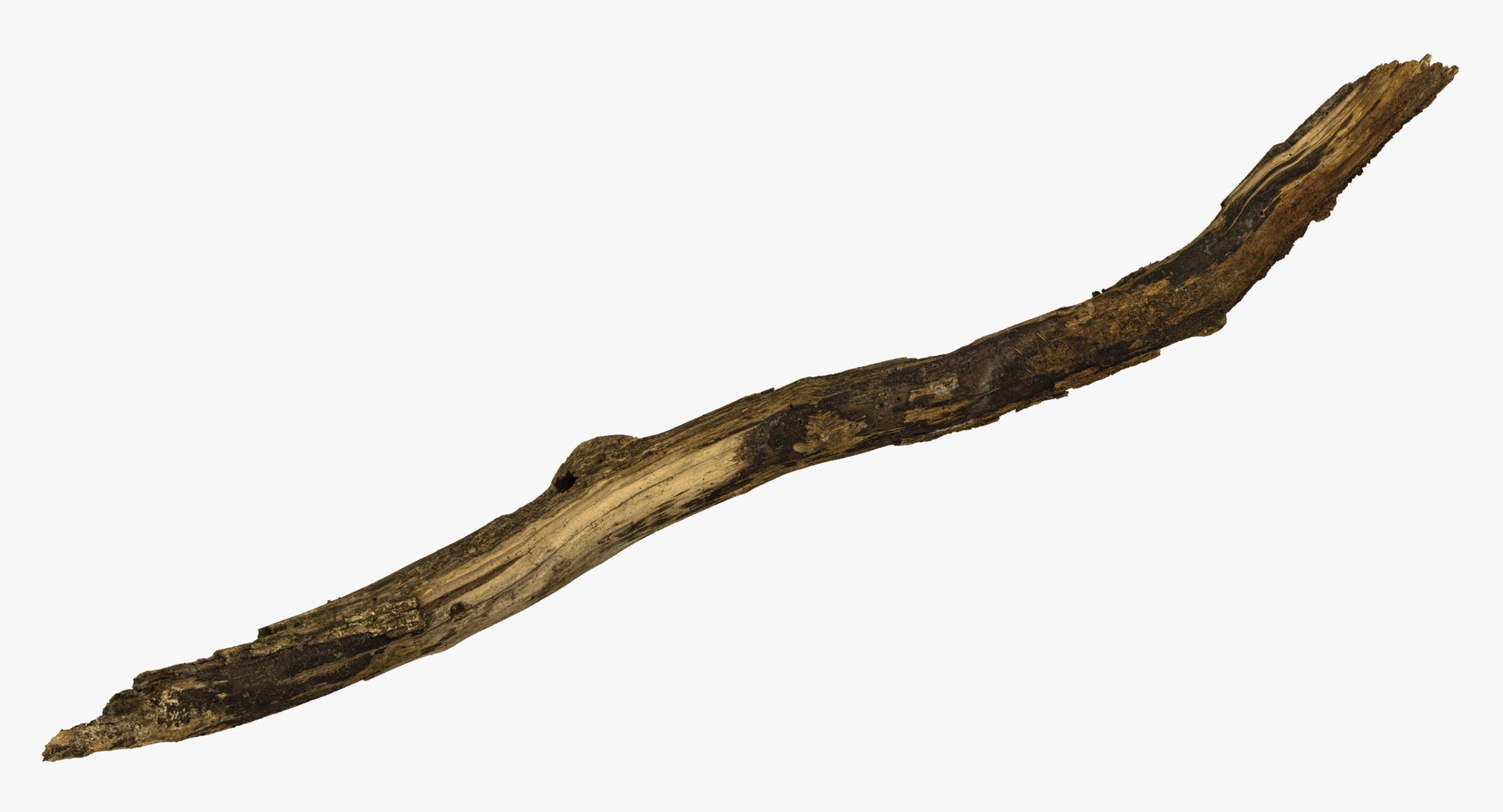 3D model Broken Branch 02 - TurboSquid 2153545