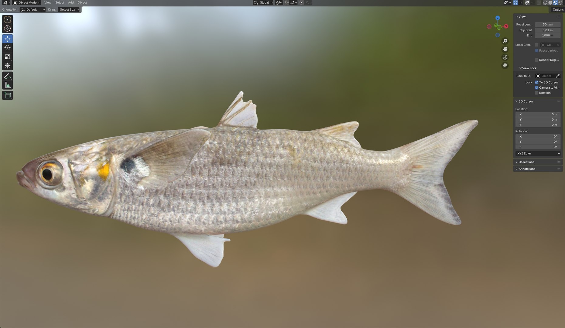 White Mullet Fish 3D Model - TurboSquid 2512823