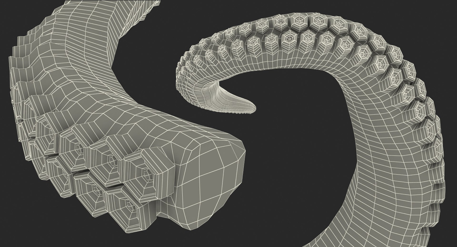 3d octopus tentacle rigged model