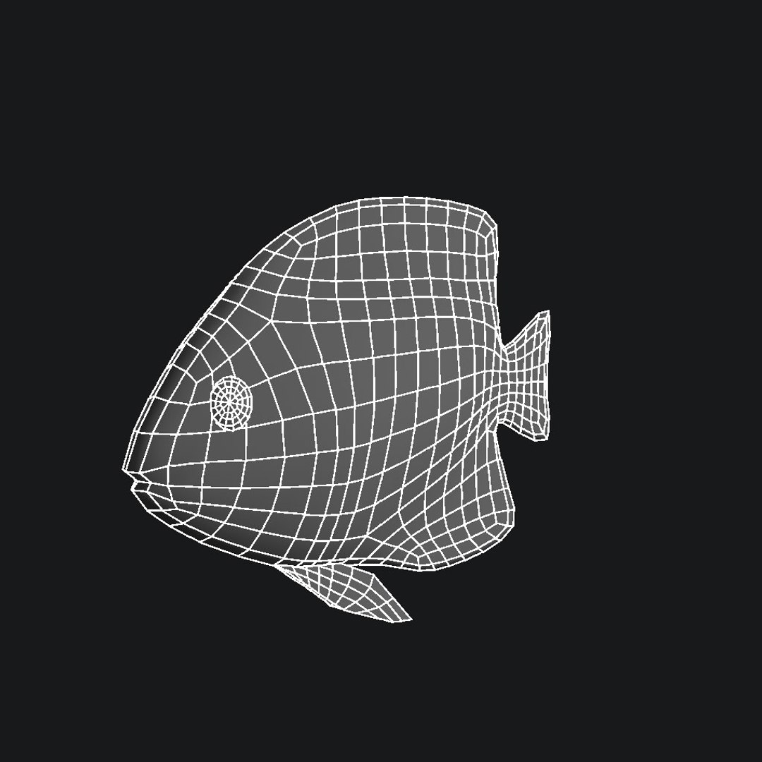 Blue Angel Fish 3D Model - TurboSquid 1244594