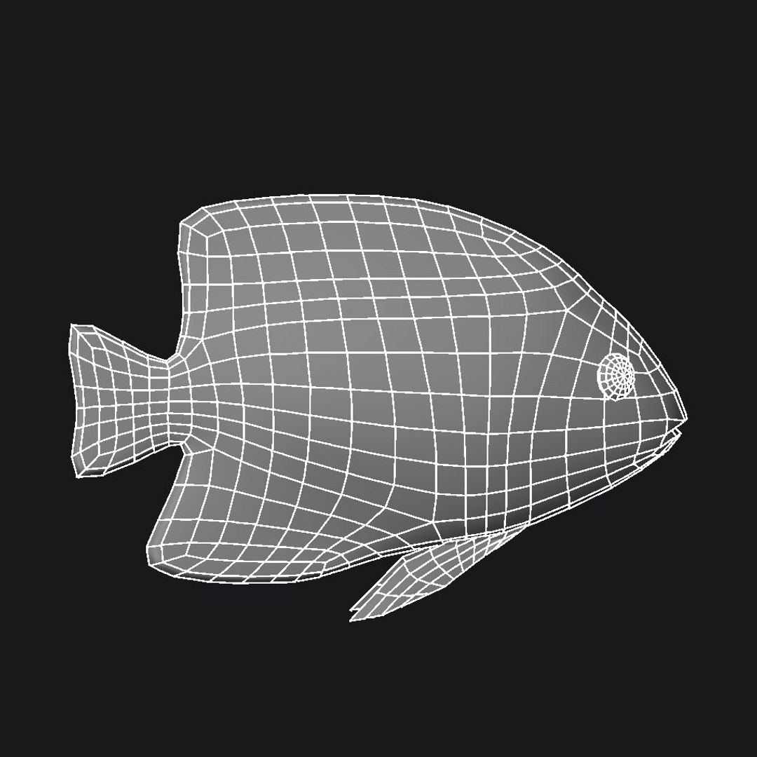 Blue Angel Fish 3D Model - TurboSquid 1244594