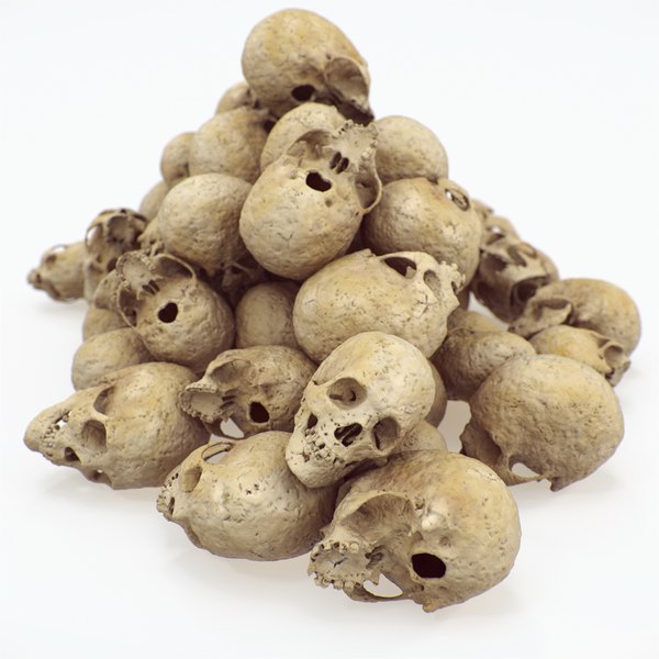 modelo 3d Pile of worn skulls - TurboSquid 1967603