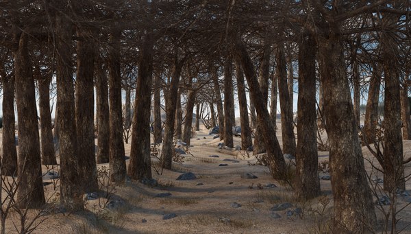 Free Maya Forest Models | TurboSquid