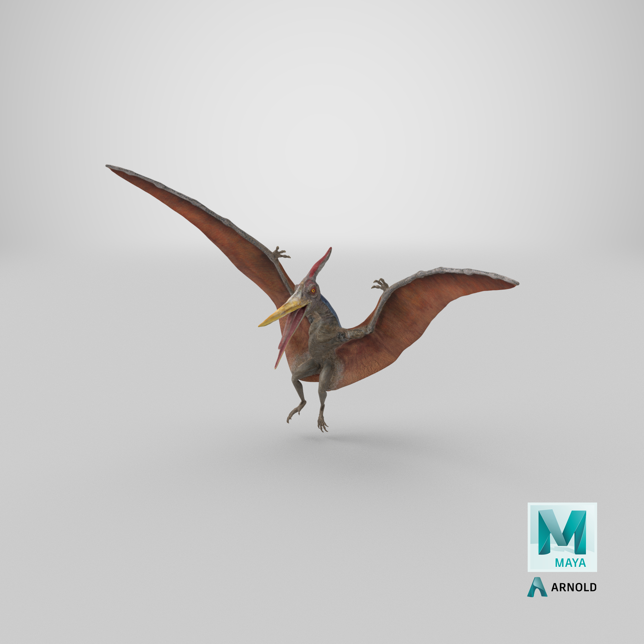 Pteranodon landing pose 3D model - TurboSquid 1384856