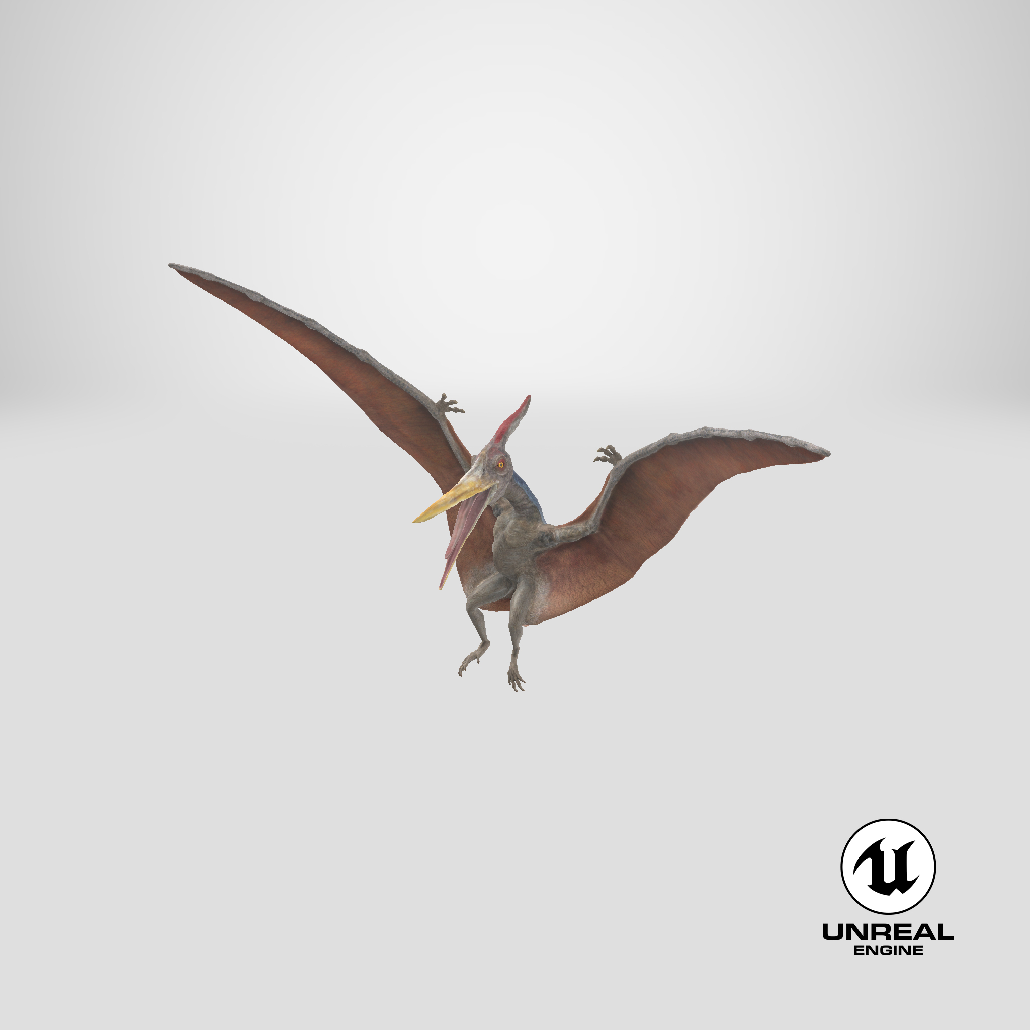 Pteranodon landing pose 3D model - TurboSquid 1384856