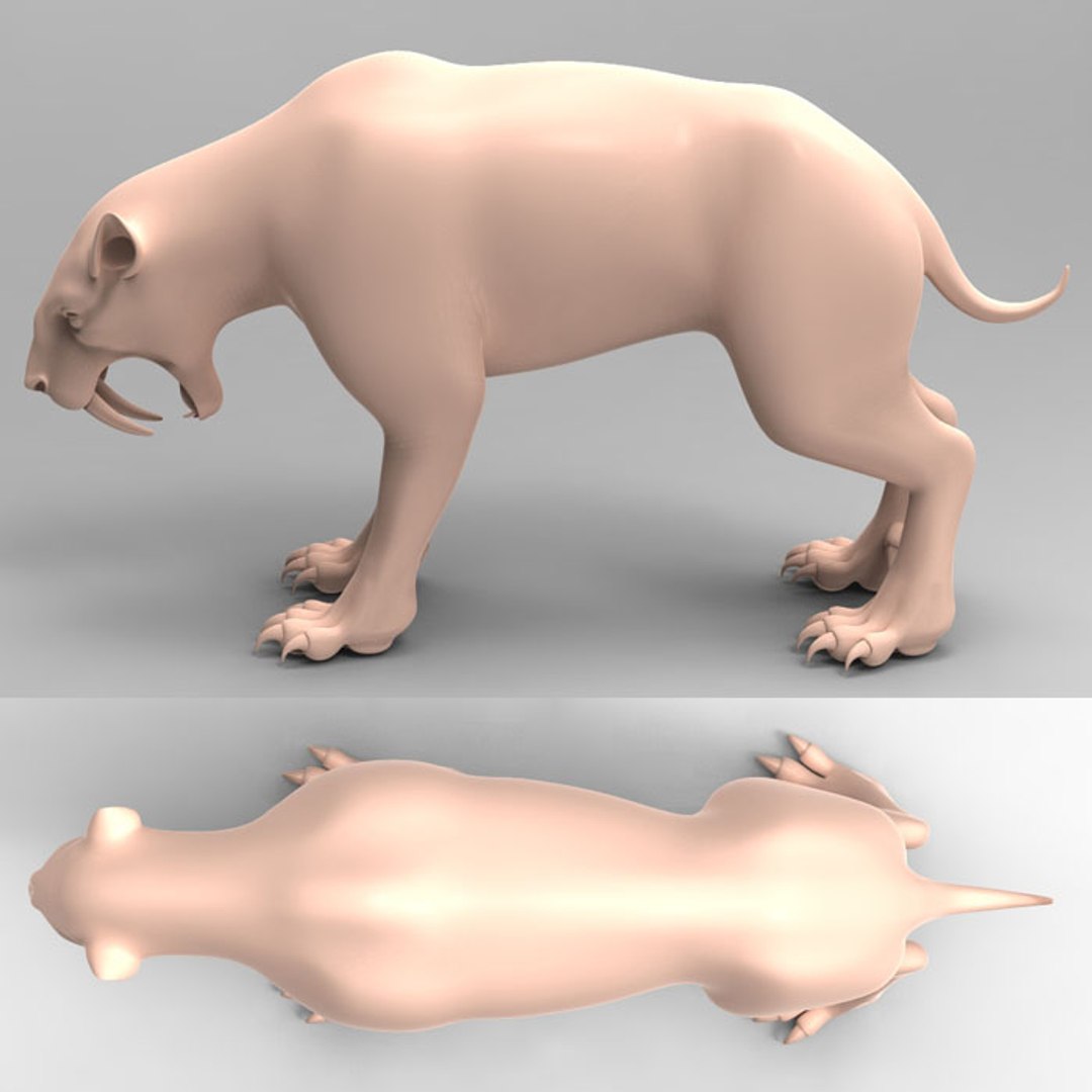 Sabertooth 3d Model