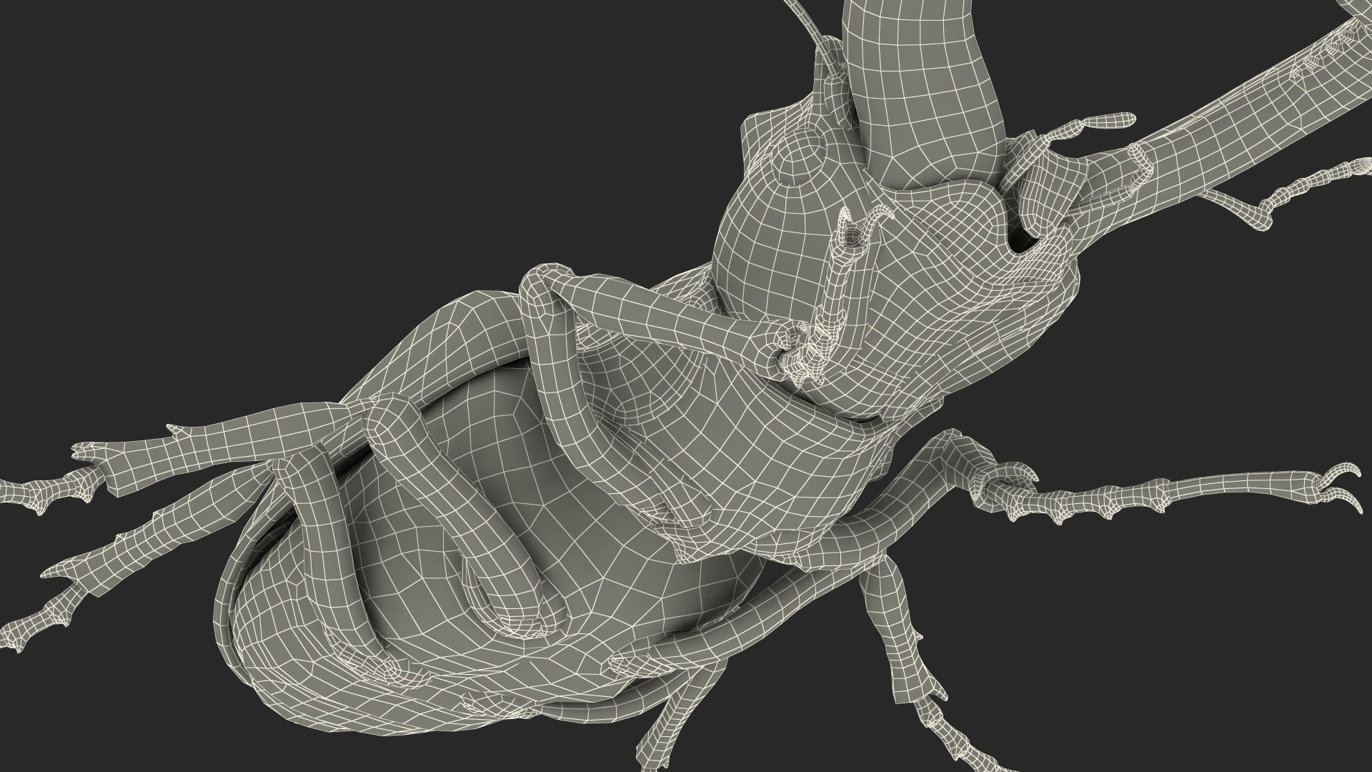 3D lucanus cervus stag beetle model - TurboSquid 1511641