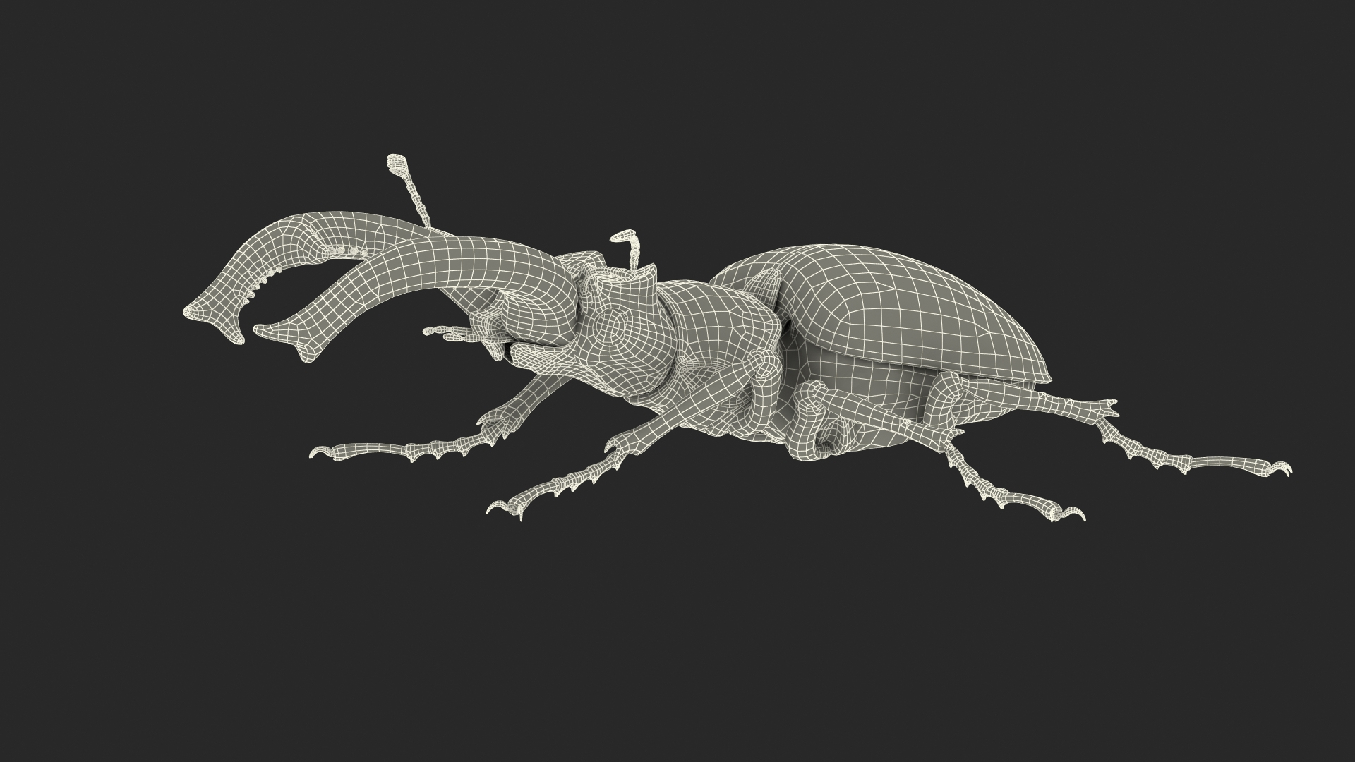 3D Lucanus Cervus Stag Beetle Model - TurboSquid 1511641