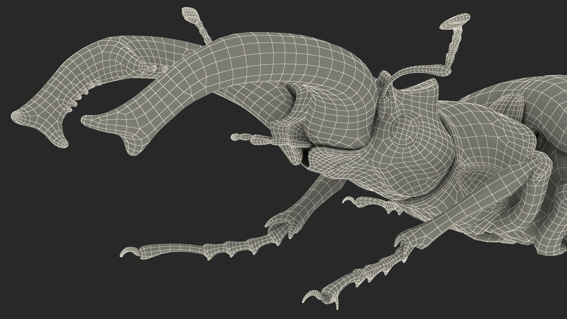 3D lucanus cervus stag beetle model - TurboSquid 1511641