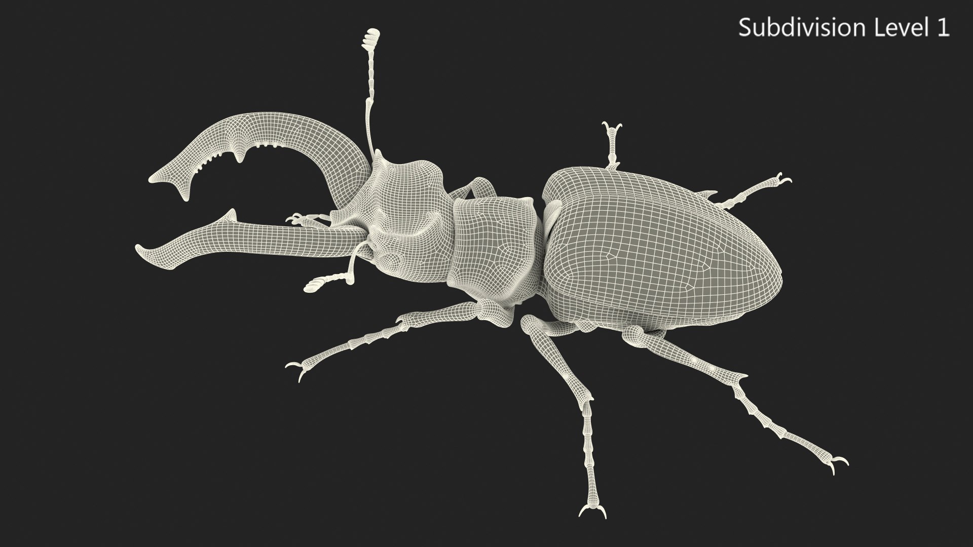 3D lucanus cervus stag beetle model - TurboSquid 1511641