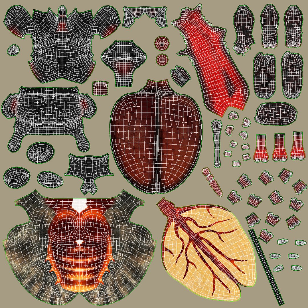 3D lucanus cervus stag beetle model - TurboSquid 1511641