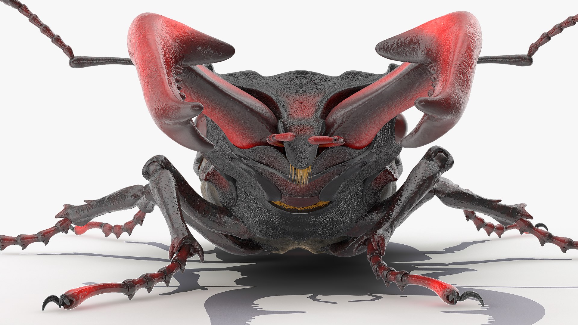 3D lucanus cervus stag beetle model - TurboSquid 1511641