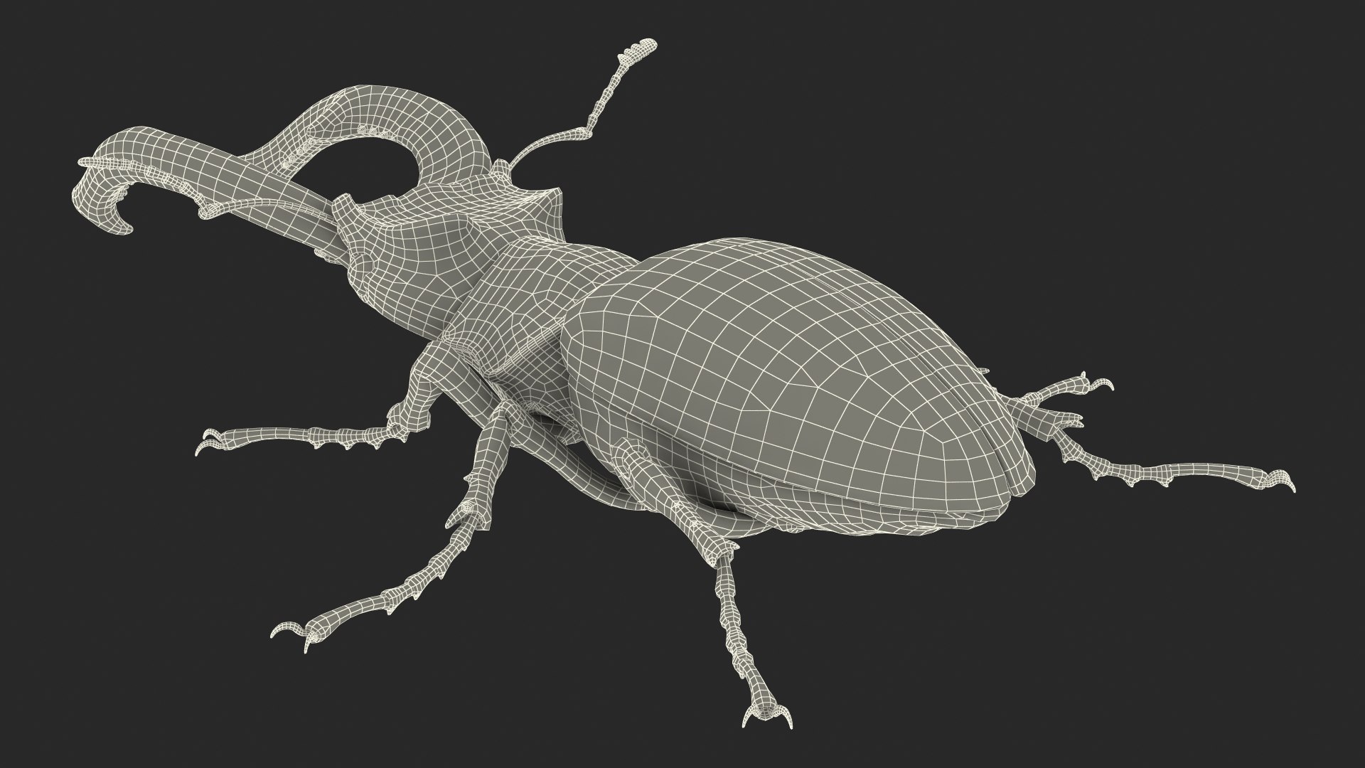 3D lucanus cervus stag beetle model - TurboSquid 1511641