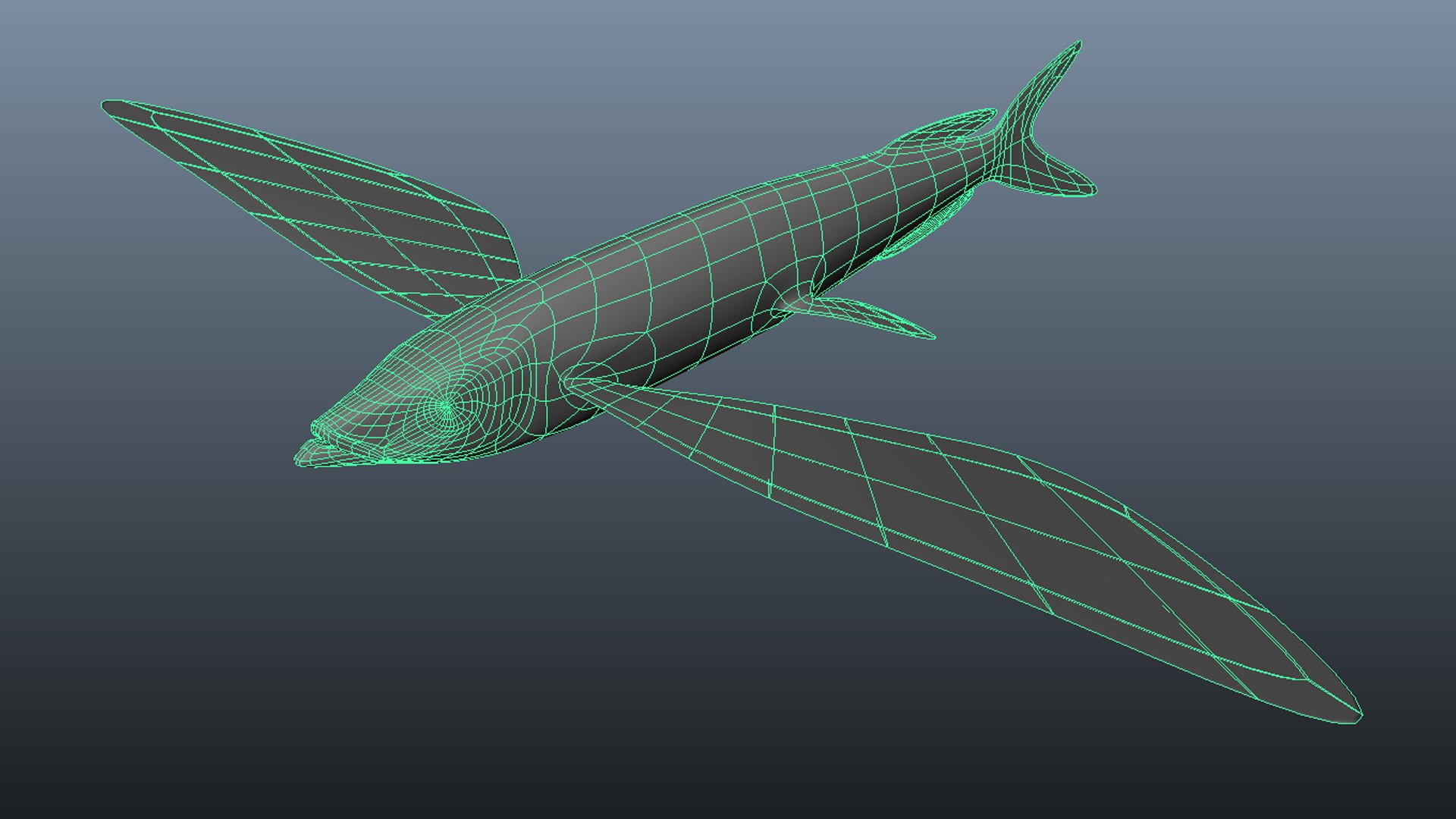 3D Flyingfish Collection model - TurboSquid 1813117