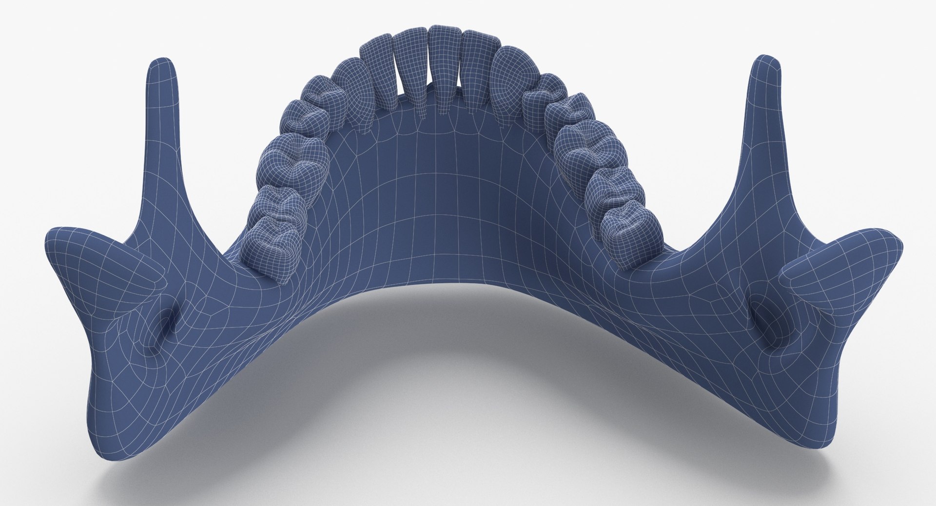 Human Male and Female Jawbones Collection White - 2 models 3D ...