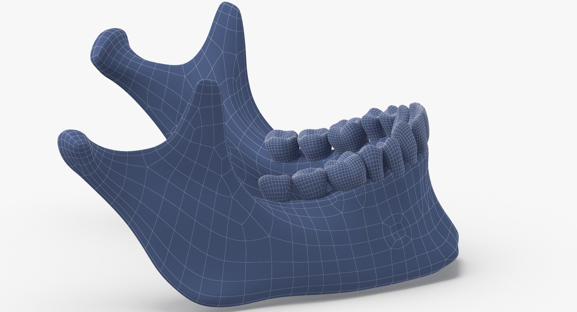 Human Male and Female Jawbones Collection White - 2 models 3D ...