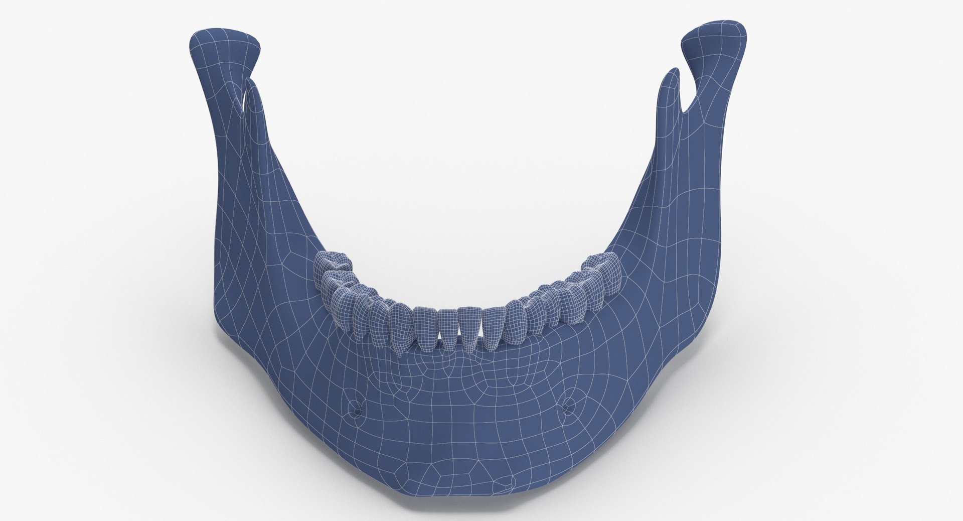 Human Male and Female Jawbones Collection White - 2 models 3D ...