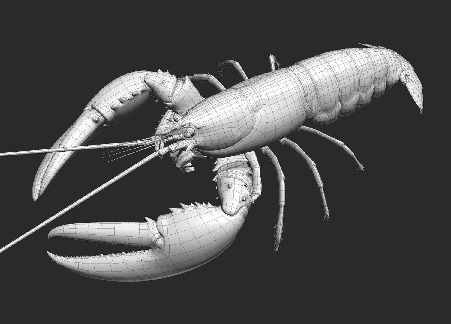 3d model lobster