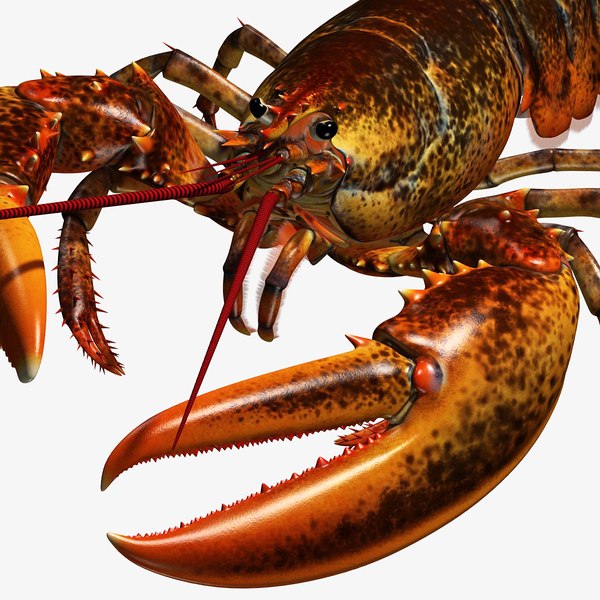 Lobster 3D Models for Download | TurboSquid