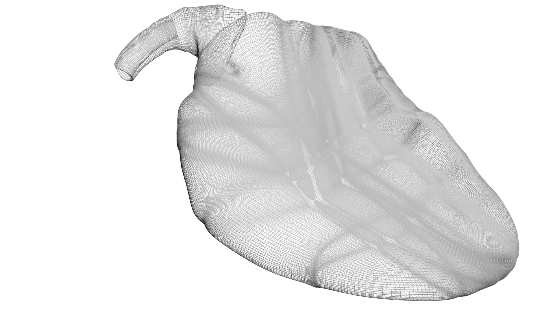 Chicken Heart Model - TurboSquid 2242921