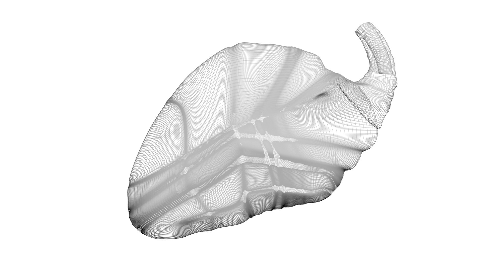 Chicken Heart Model - TurboSquid 2242921