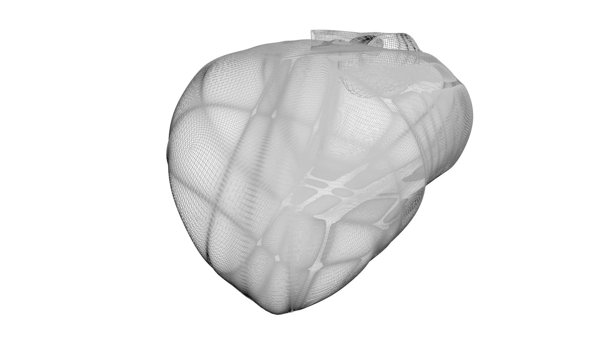 Chicken Heart Model - TurboSquid 2242921