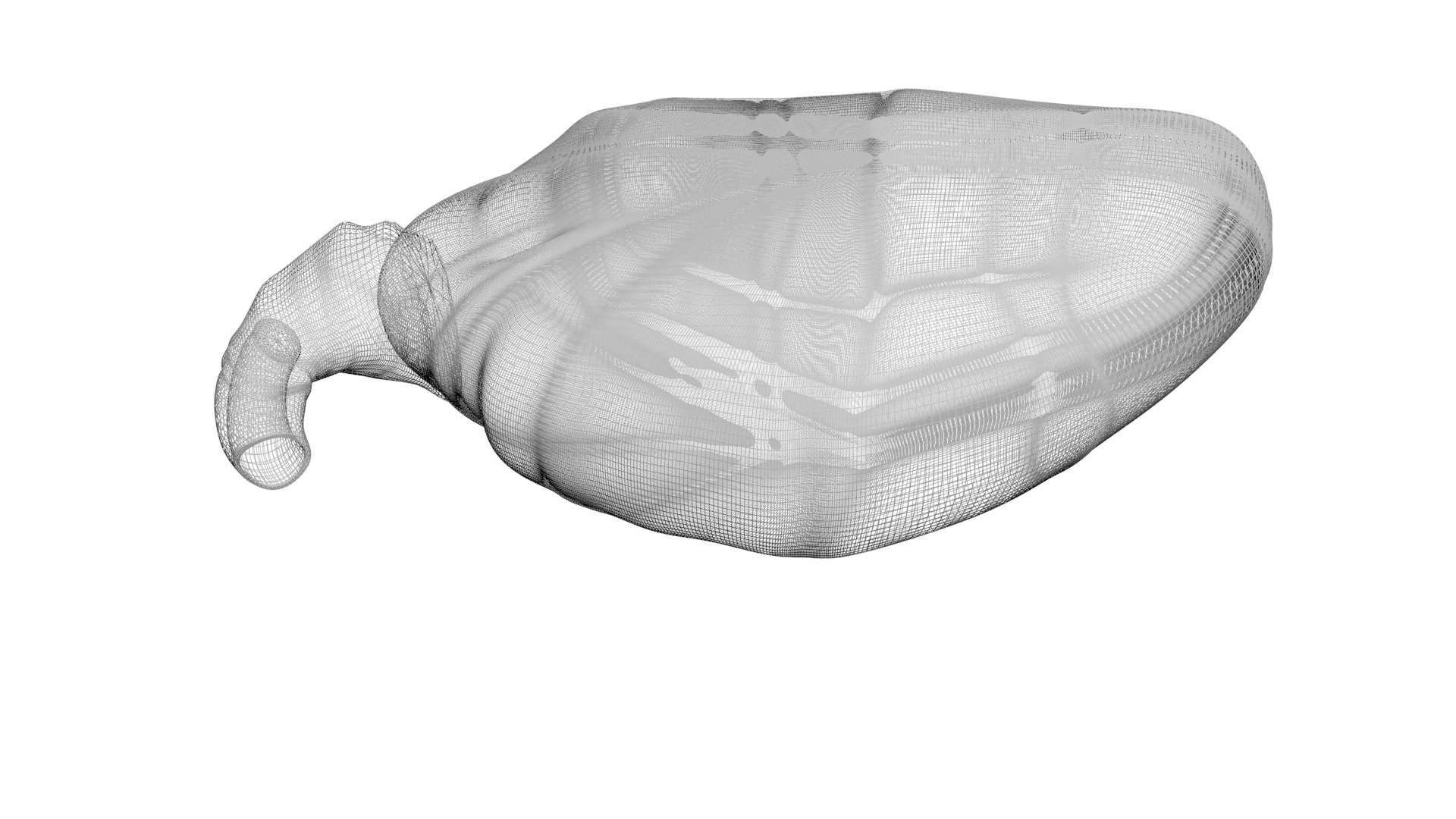 Chicken Heart Model - TurboSquid 2242921