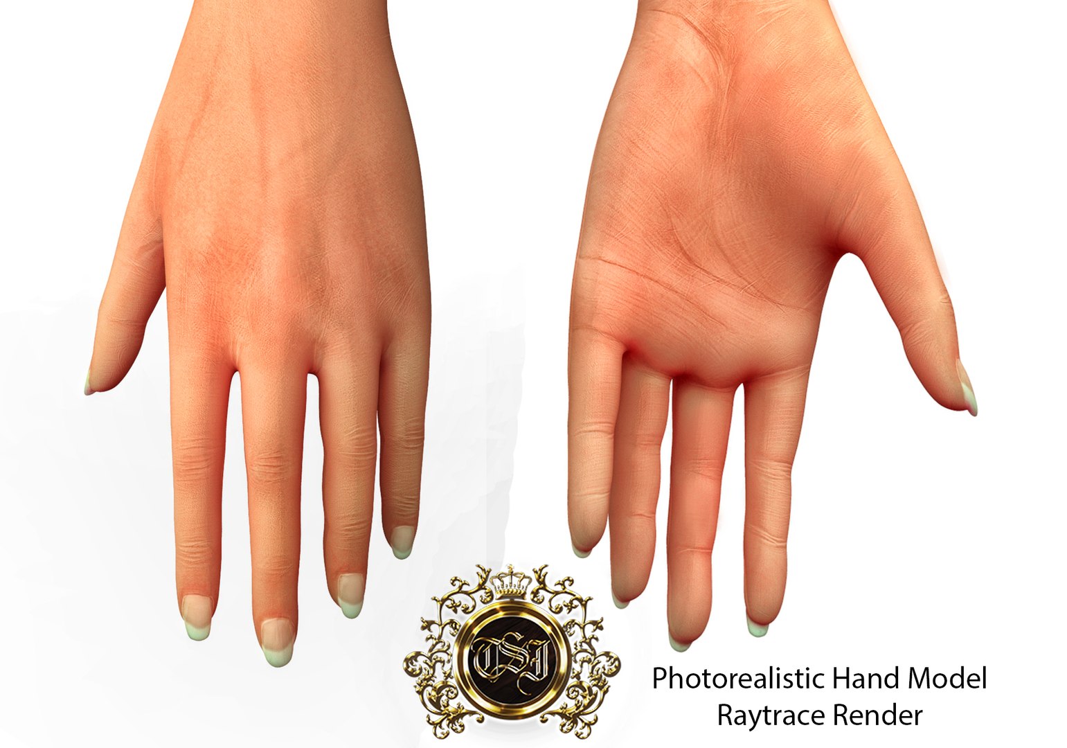 Realistic Hand Rigged X