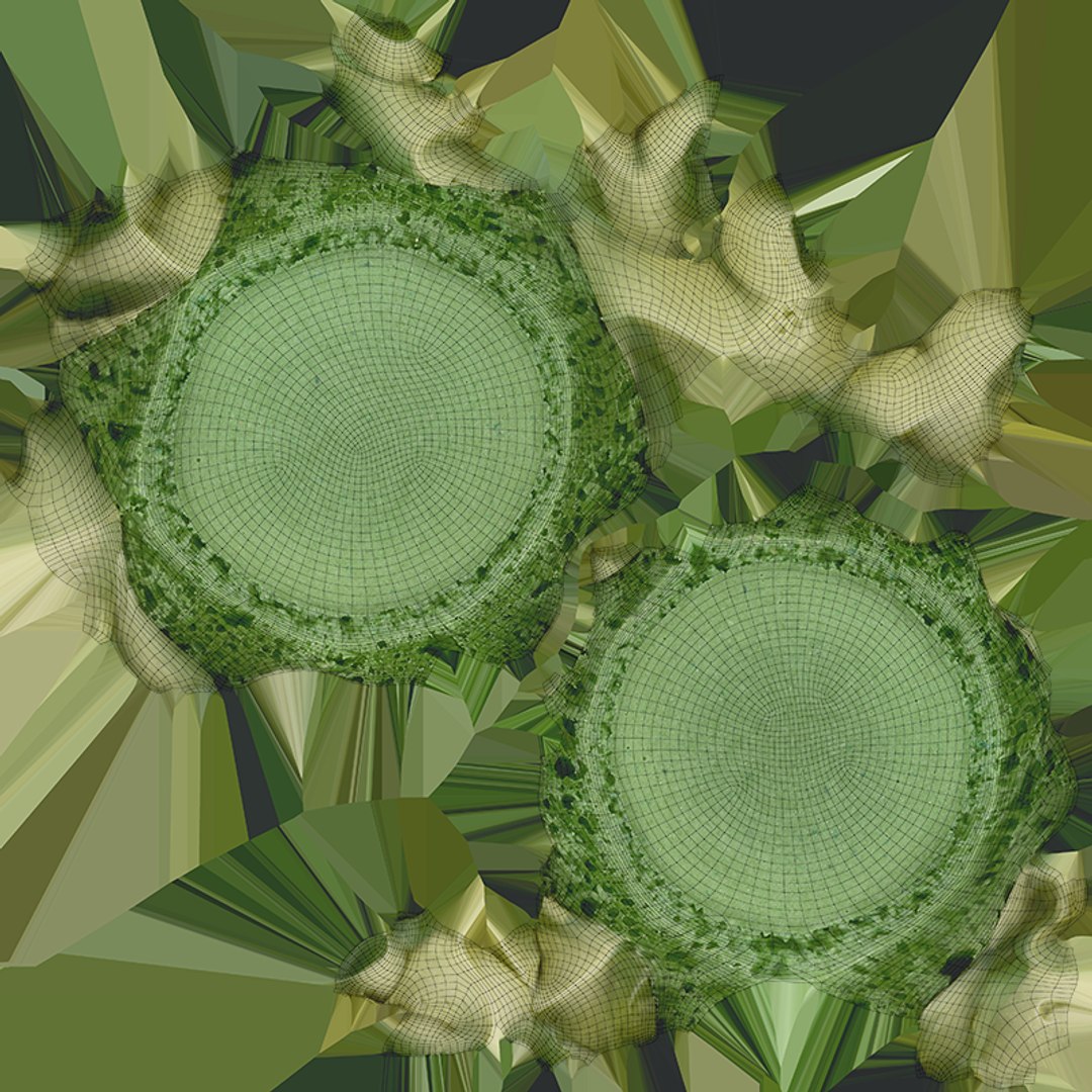 Cream Macarons Collection 3D Model - TurboSquid 2507186