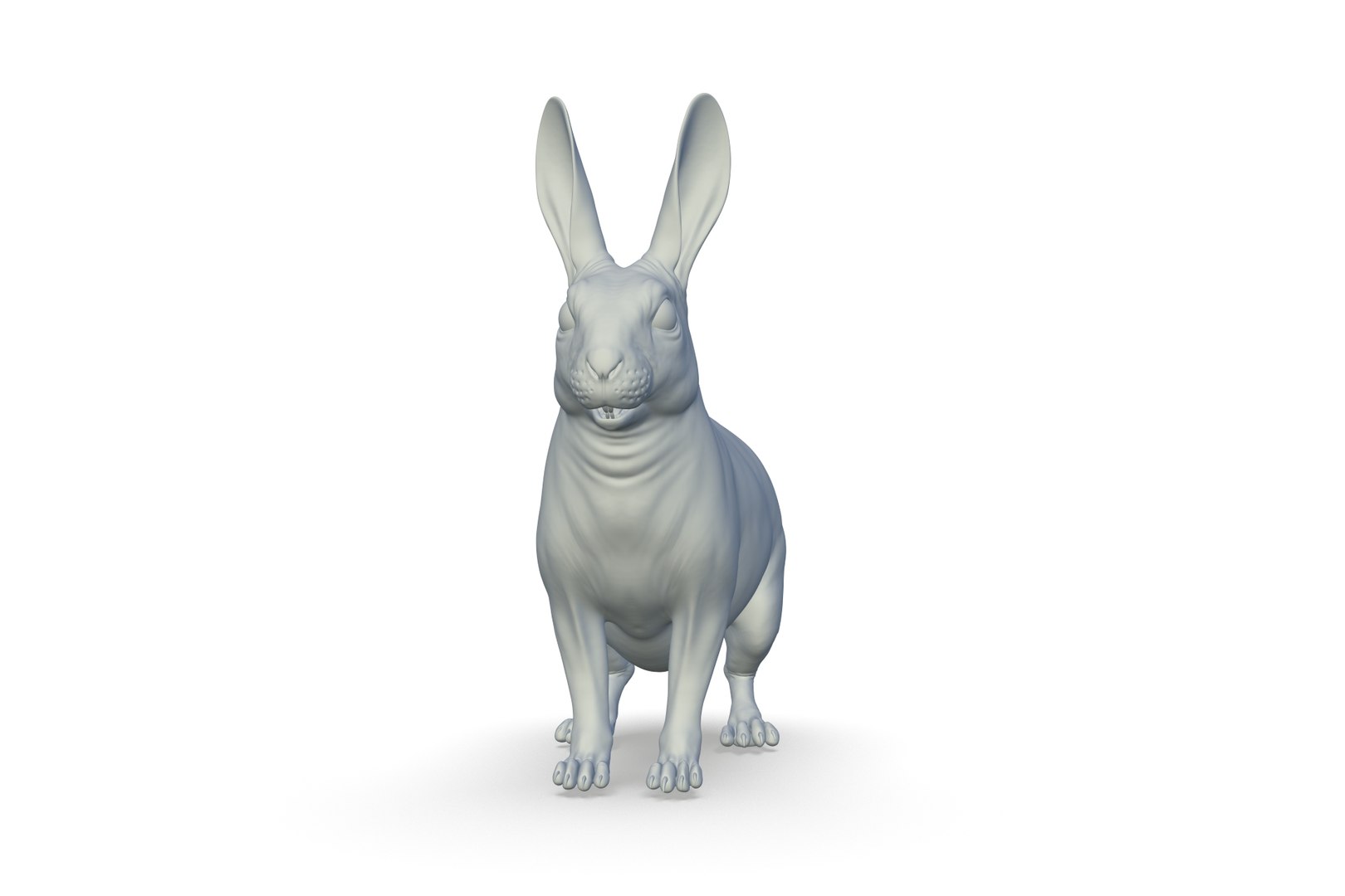 Rabbit Model - TurboSquid 2213508