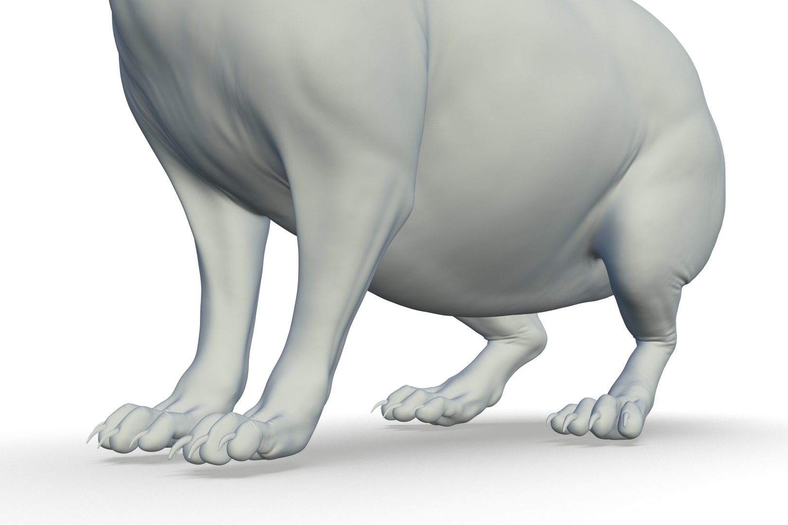 Rabbit Model - TurboSquid 2213508