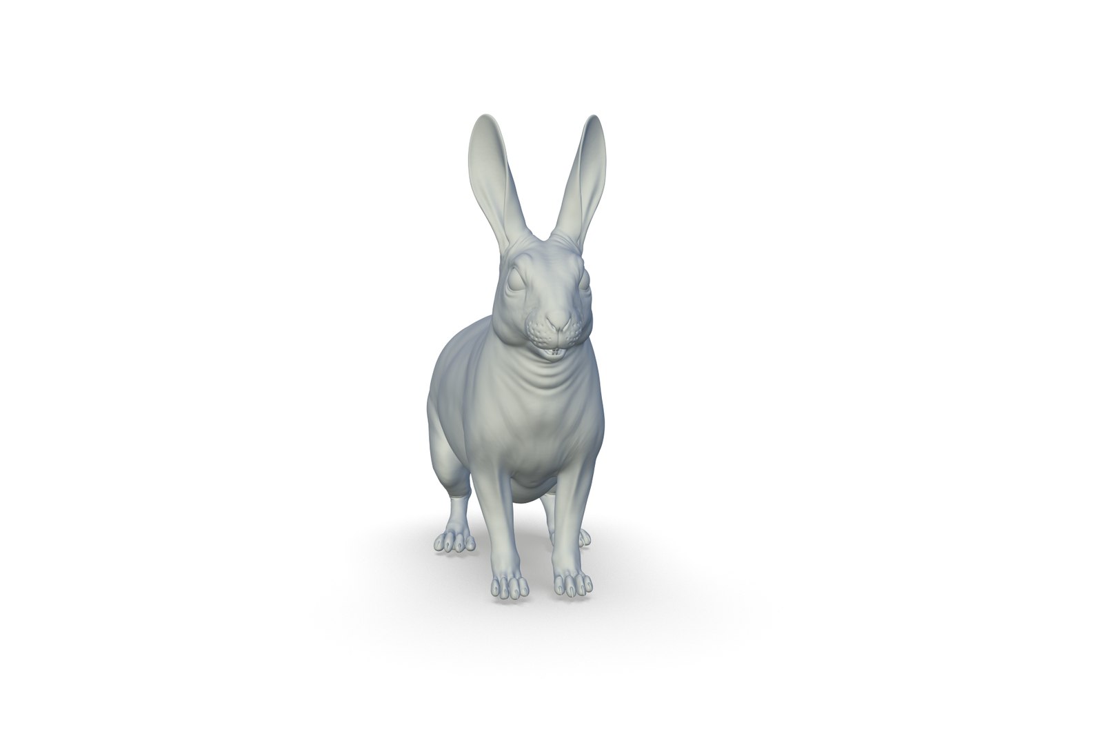 Rabbit Model - TurboSquid 2213508