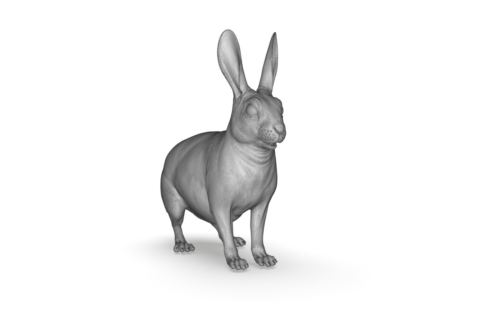 Rabbit Model - TurboSquid 2213508