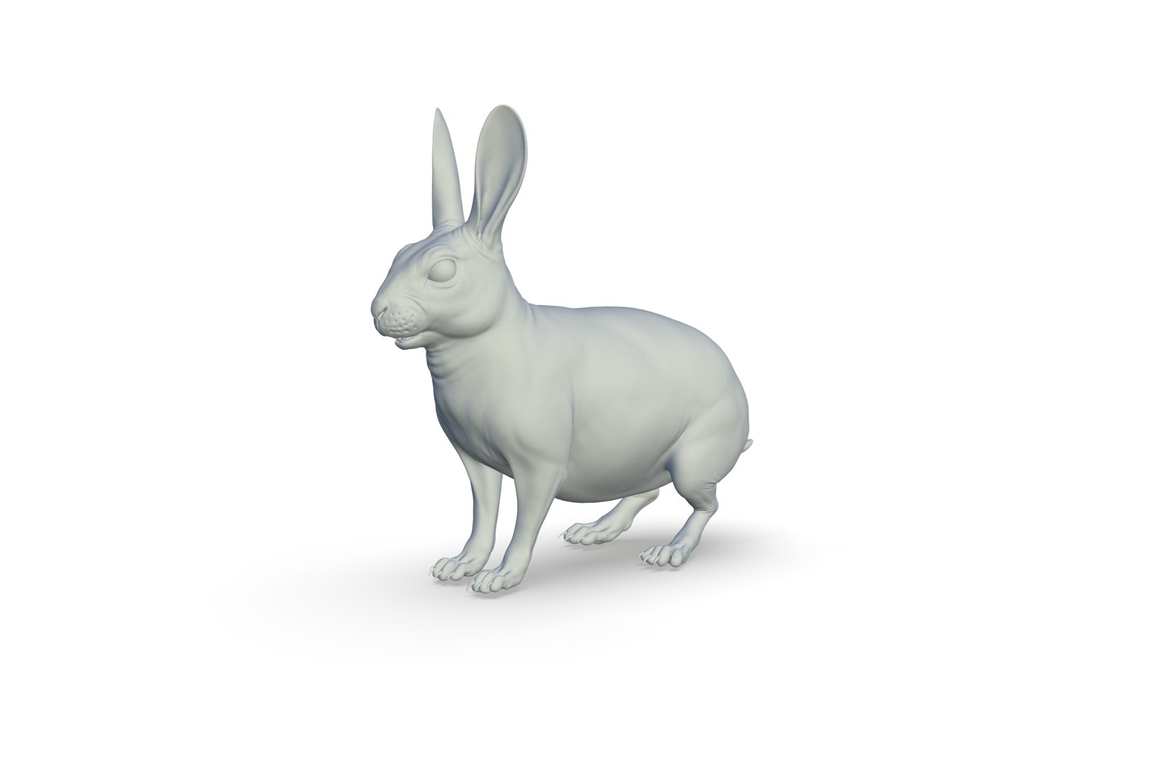 Rabbit Model - TurboSquid 2213508