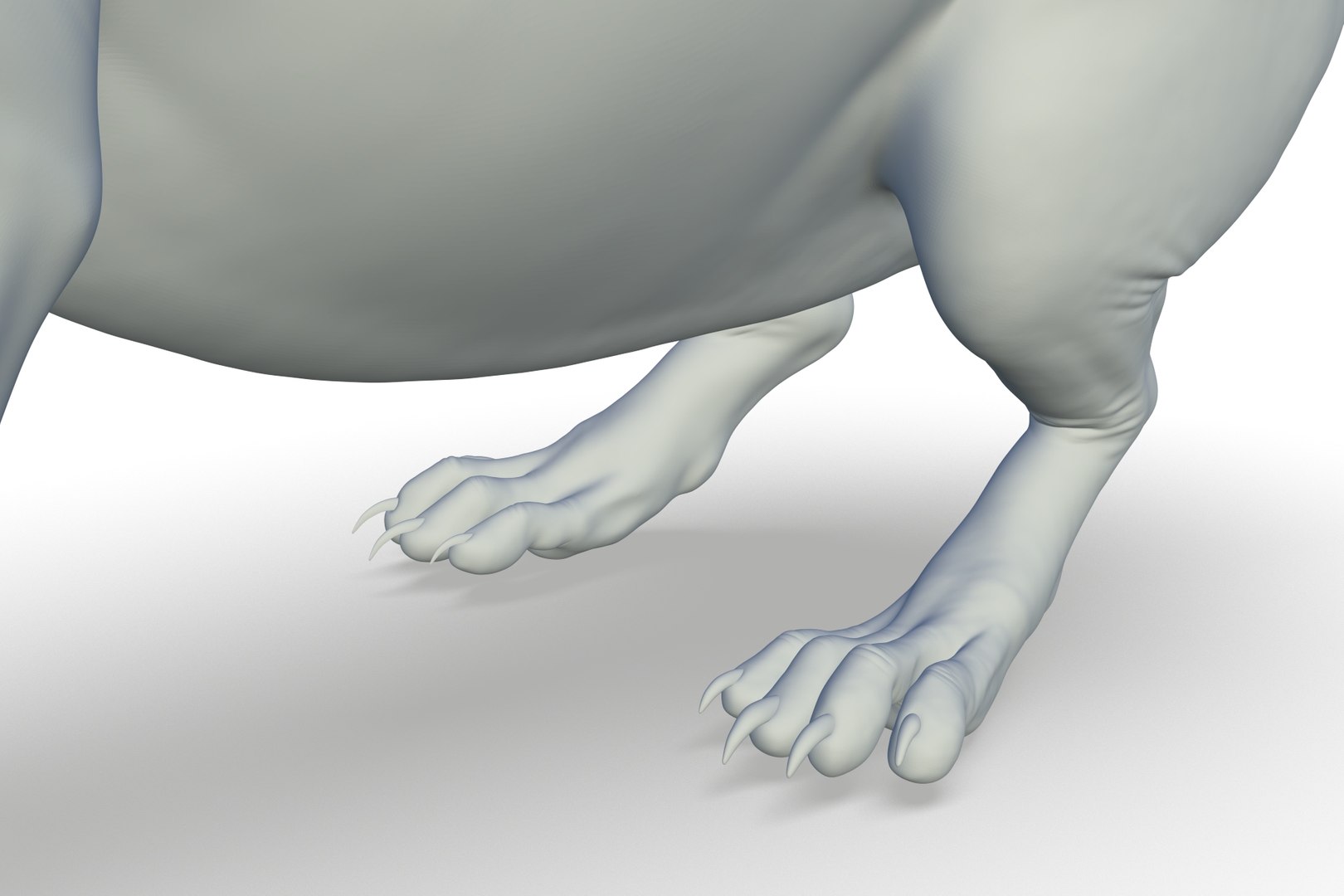 Rabbit Model - TurboSquid 2213508