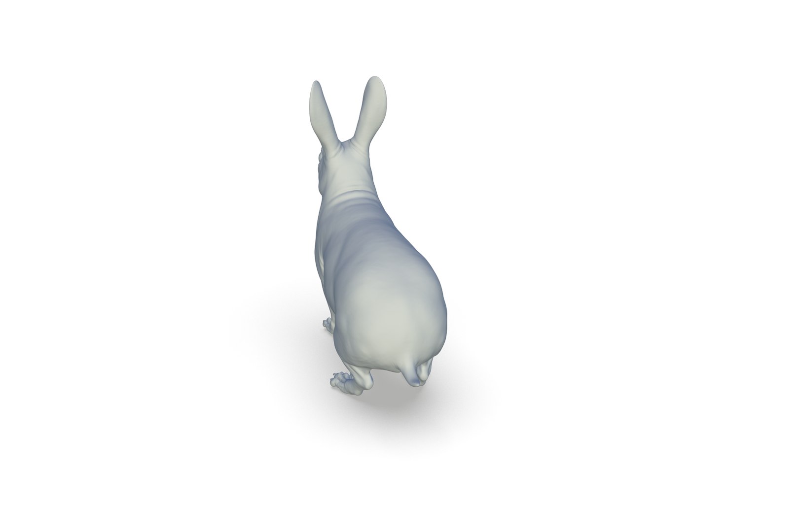 Rabbit Model - TurboSquid 2213508
