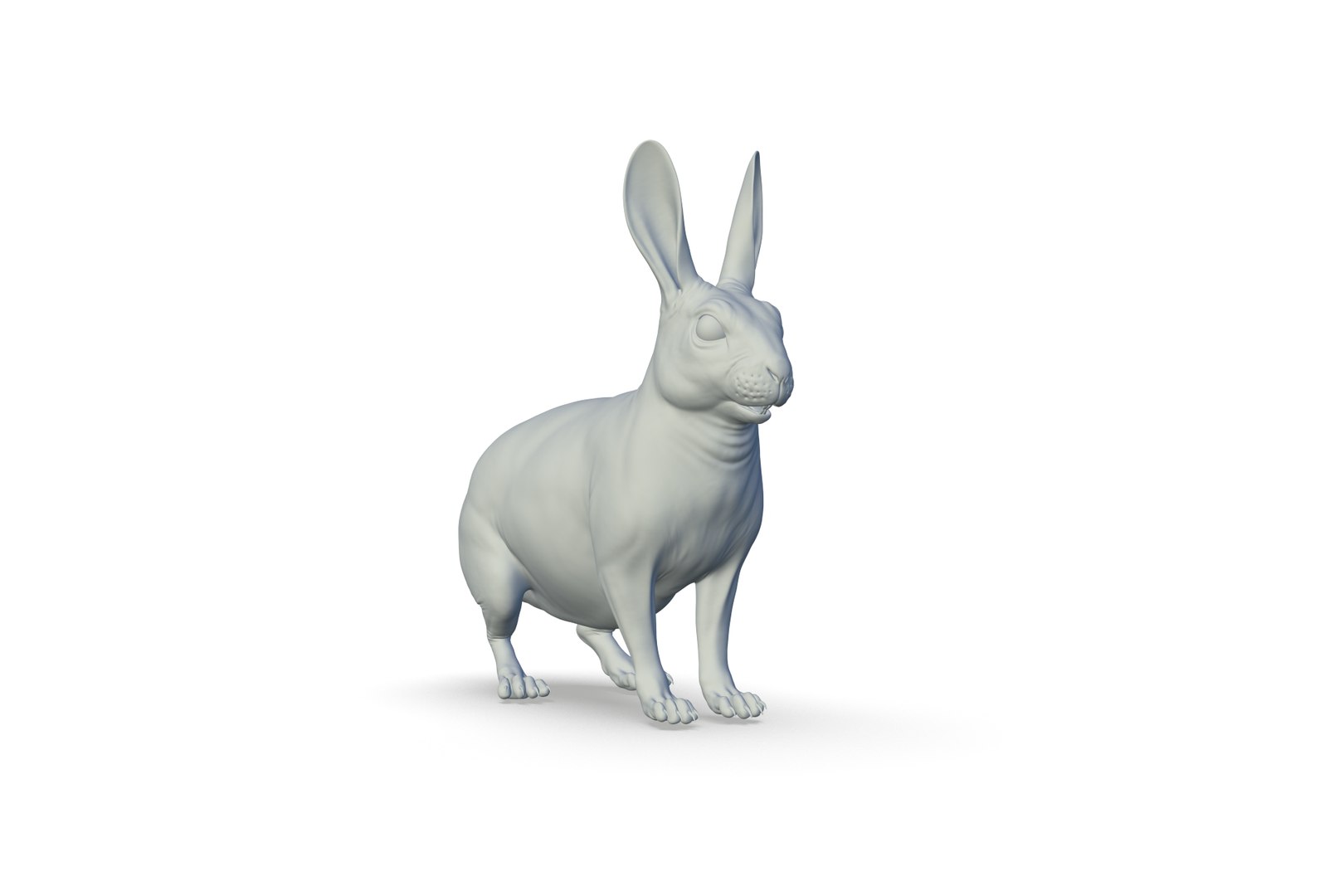 Rabbit Model - TurboSquid 2213508