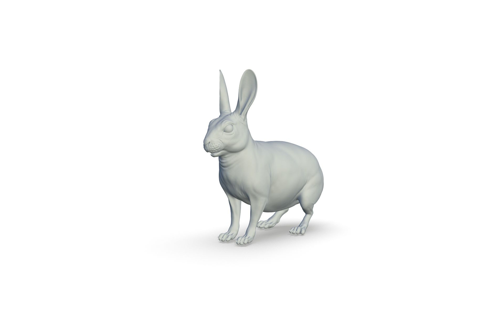 Rabbit Model - TurboSquid 2213508