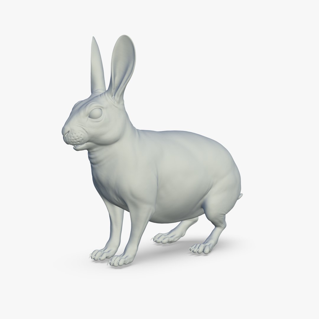 Rabbit Model - TurboSquid 2213508