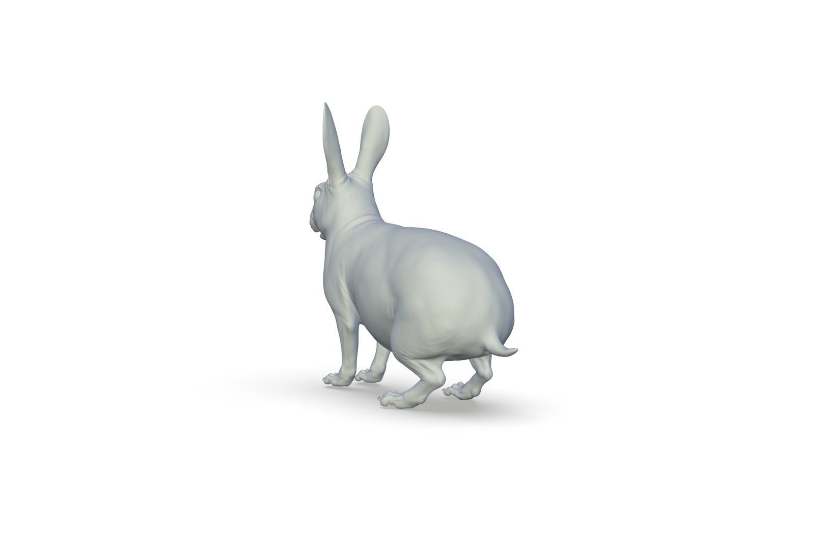 Rabbit Model - TurboSquid 2213508