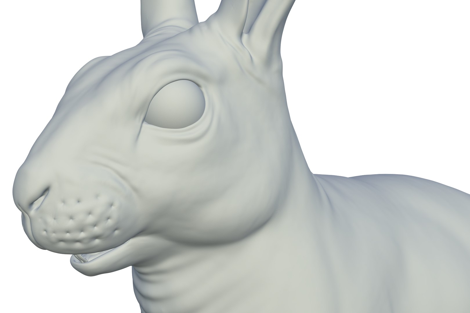 Rabbit Model - TurboSquid 2213508