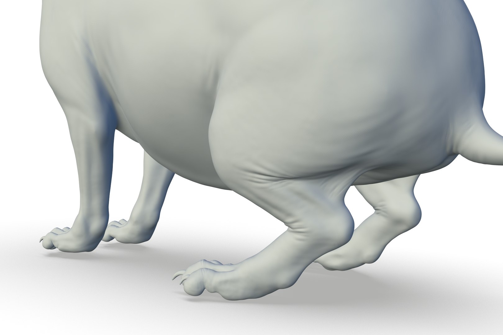 Rabbit Model - TurboSquid 2213508