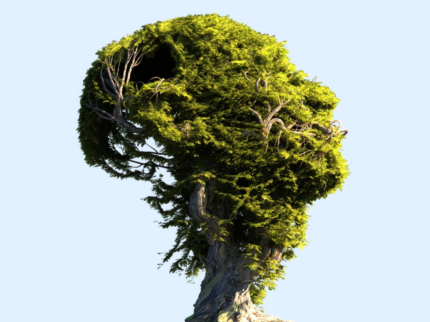 Tree Head Hd 3D Model - TurboSquid 1287351
