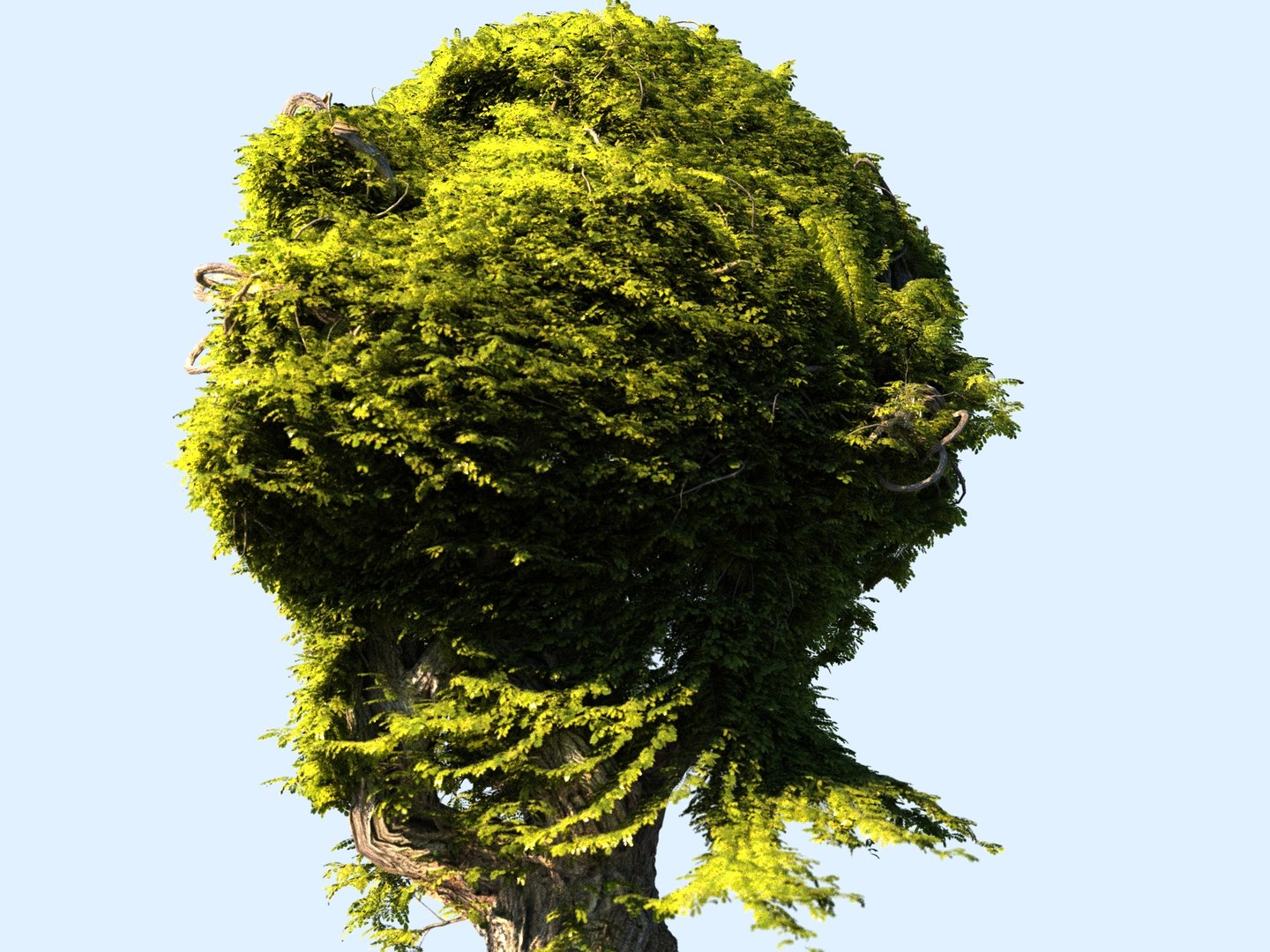 Tree Head Hd 3D Model - TurboSquid 1287351
