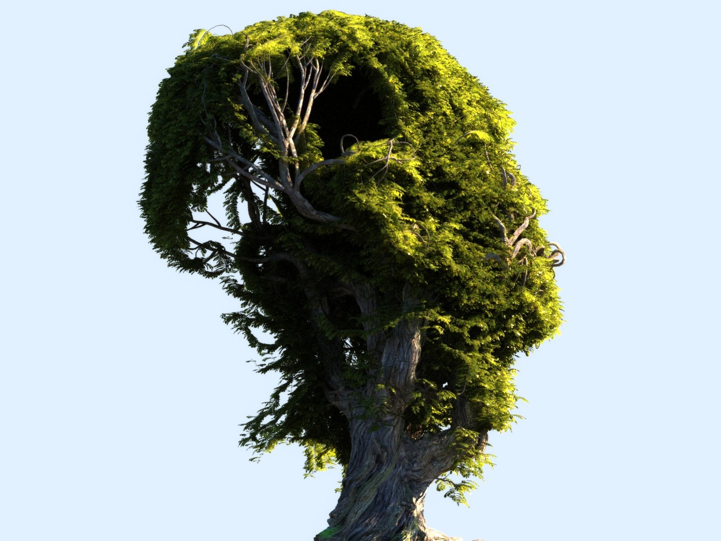 Tree Head Hd 3D Model - TurboSquid 1287351