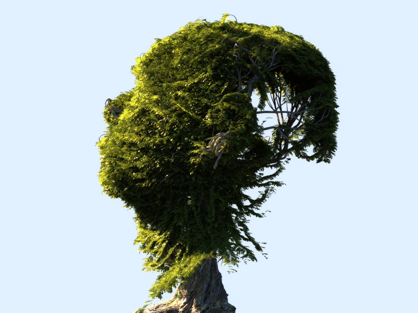 Tree Head Hd 3D Model - TurboSquid 1287351