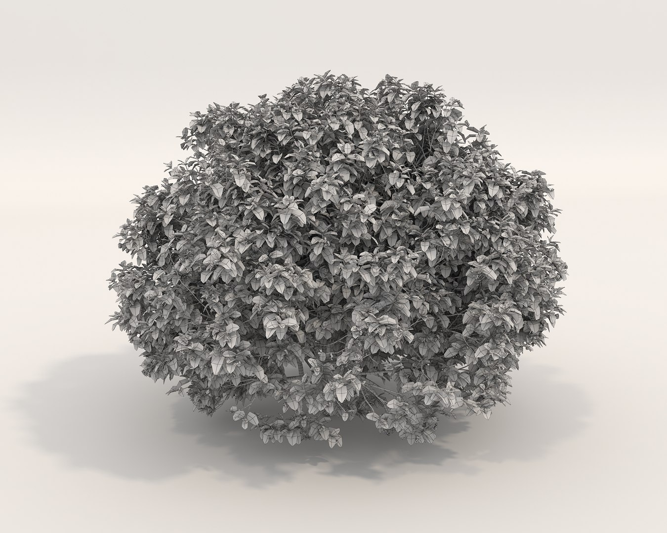 3D Realistic Shrub Bush Set 6 model - TurboSquid 2061662
