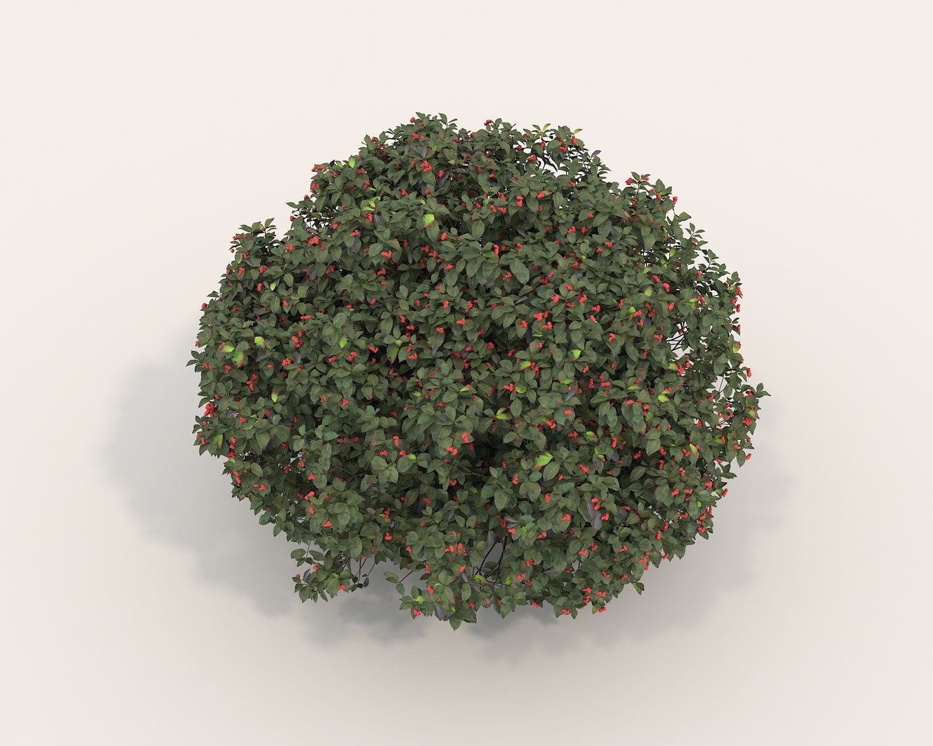 3D Realistic Shrub Bush Set 6 model - TurboSquid 2061662