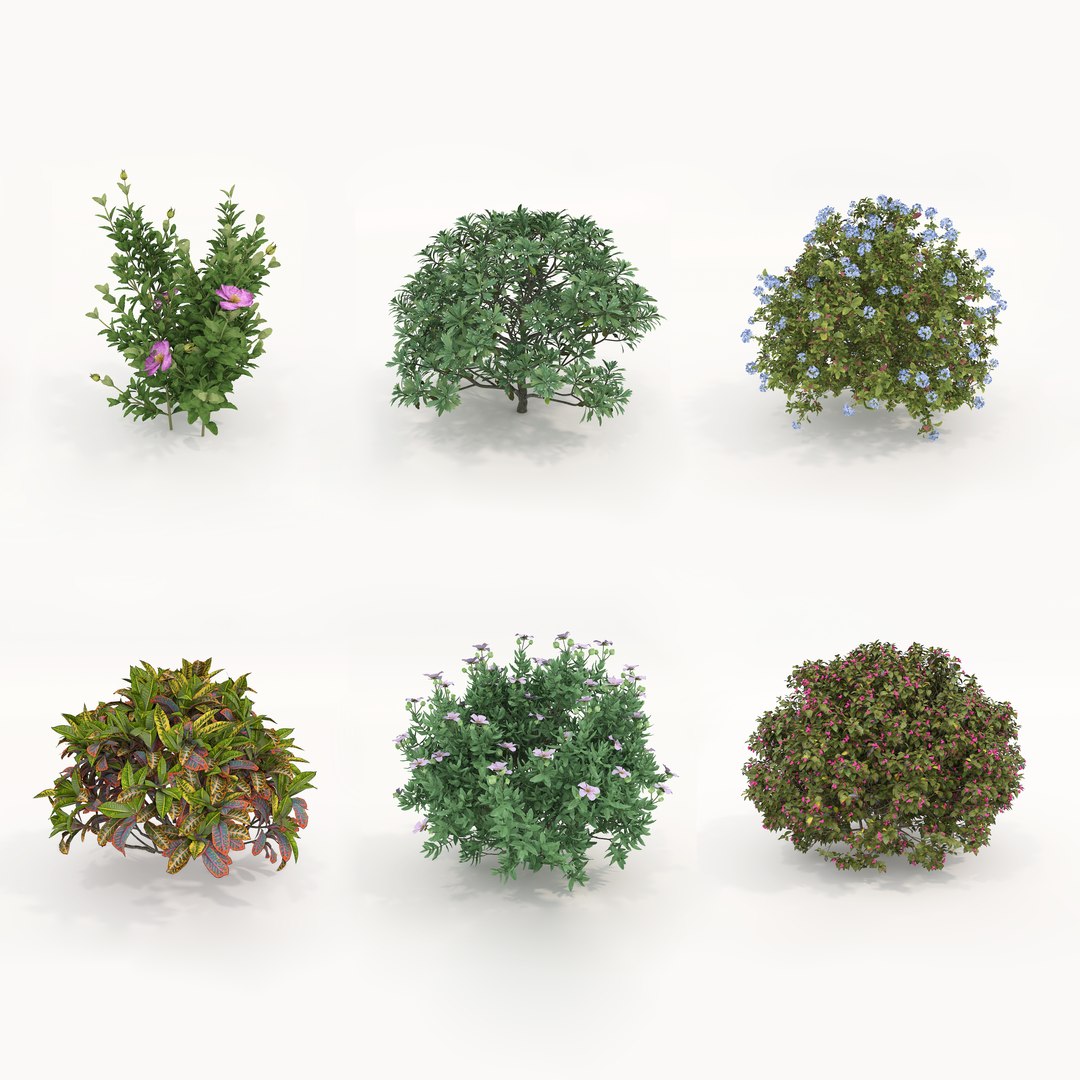 3D Realistic Shrub Bush Set 6 model - TurboSquid 2061662